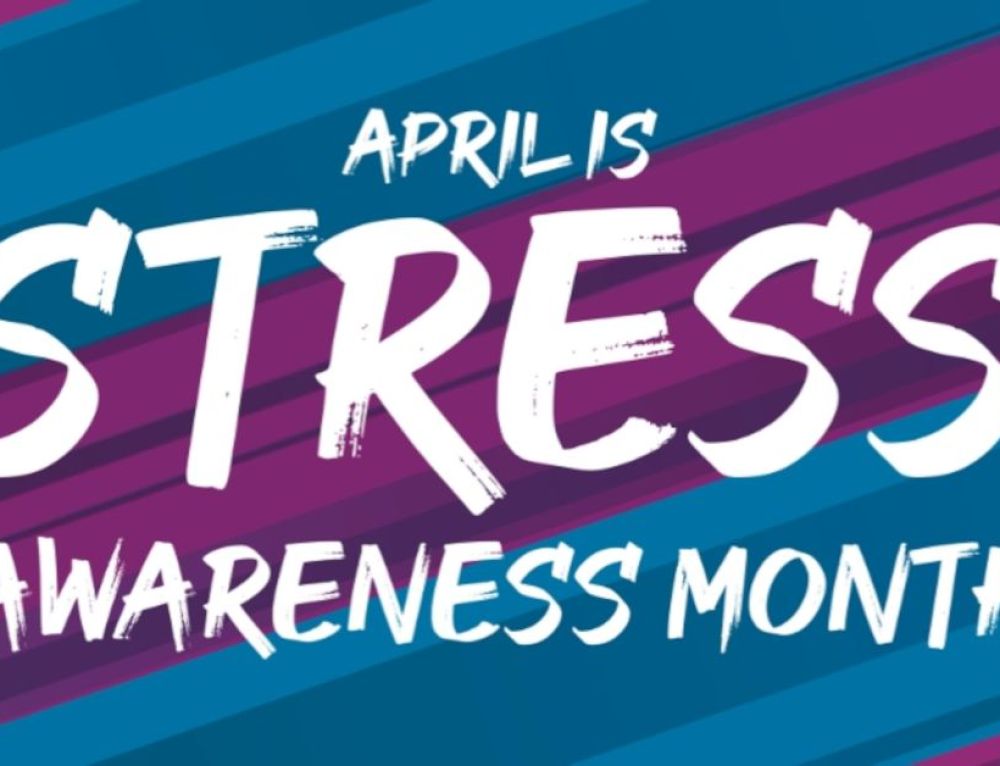 Celebrating the Brilliance of Neurodiversity: Neurodiversity ...